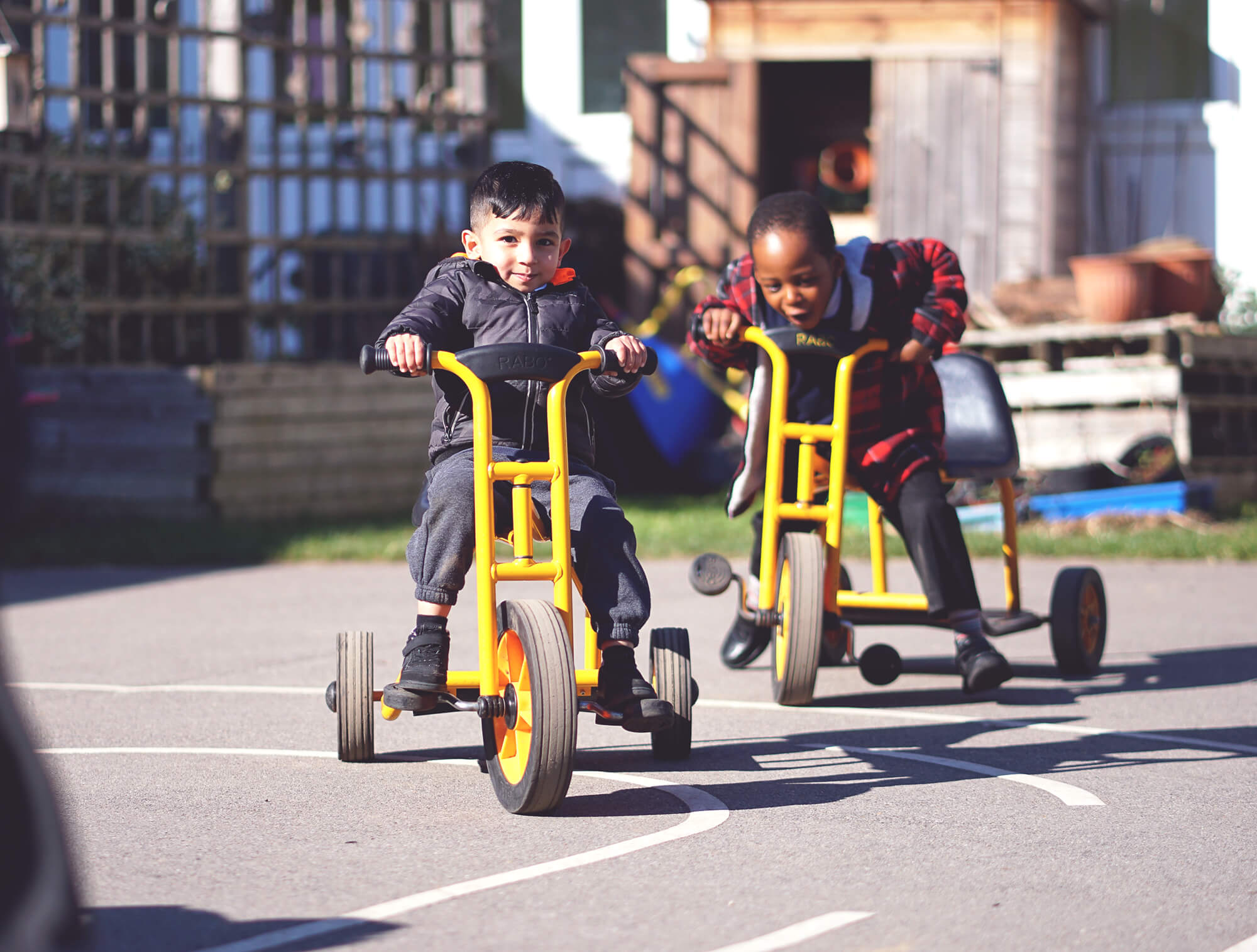 The Developmental Journey in Cognition and Learning - BDSIP